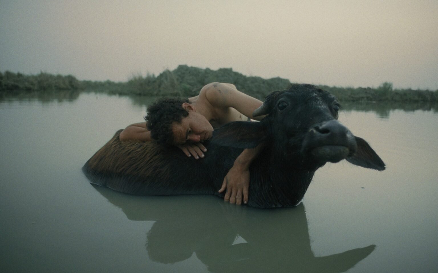 Award-Winning Short Film Highlights Iraq’s Climate Crisis - The Khaleej ...