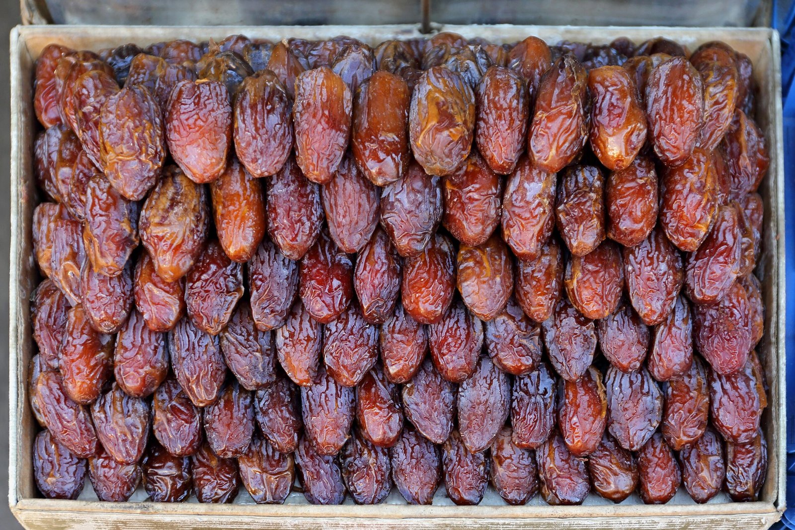 Qatar Local Dates Festival Showcases Farming and Culture