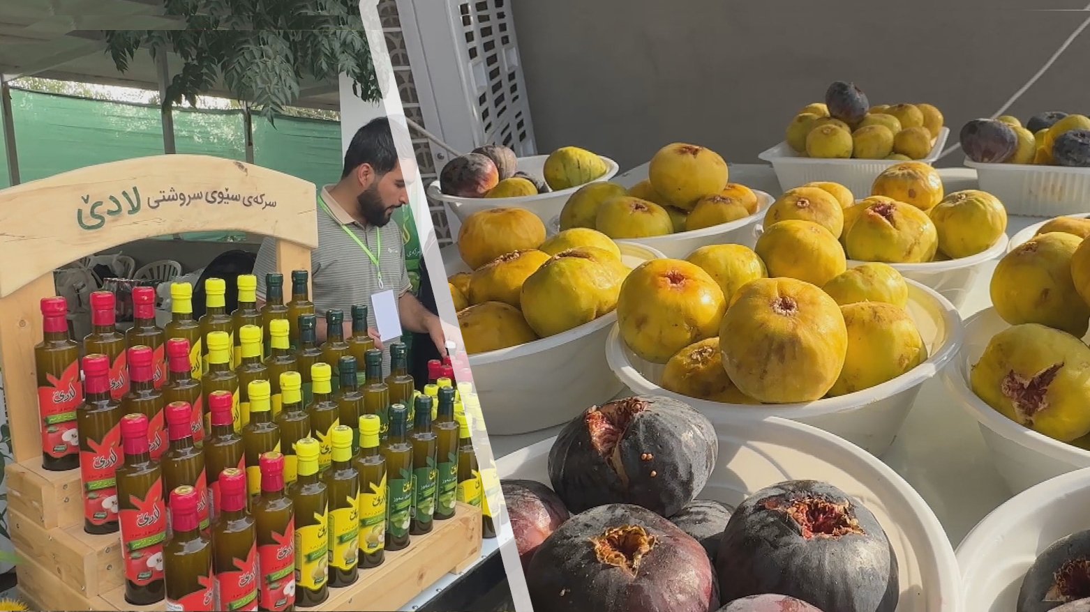 Taq Taq Festival: A Colorful Cultural Celebration