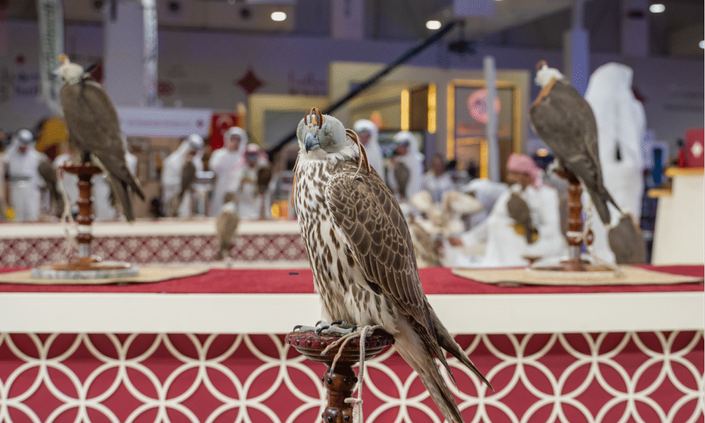 Saudi hunting expo China attracts 52 companies